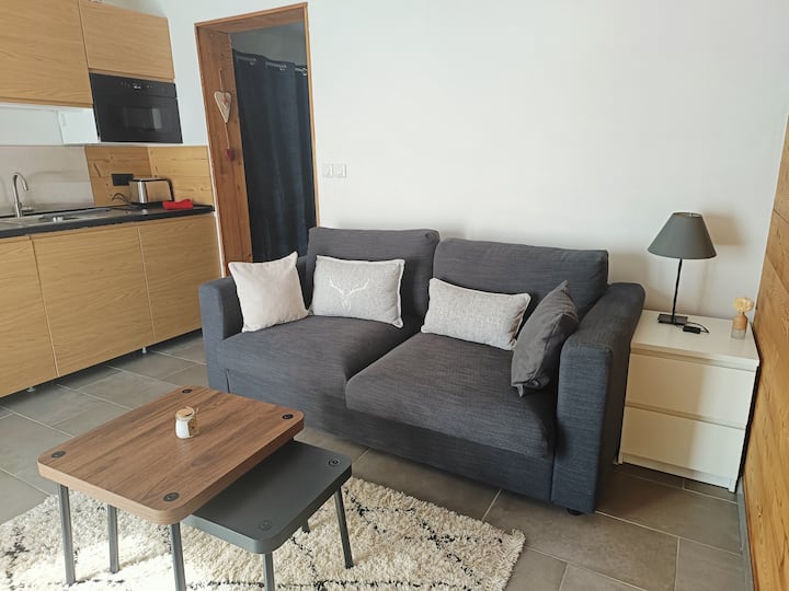 Appartement Dans Chalet Familial Coin Montagne - レ・ジェ