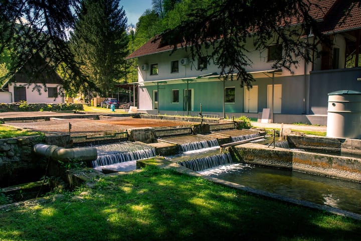 Stara Ribogojnica & Pohorska Postrv 1 - Pohorje