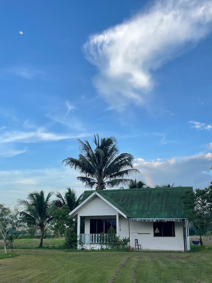 House No.4 - Chiang Dao