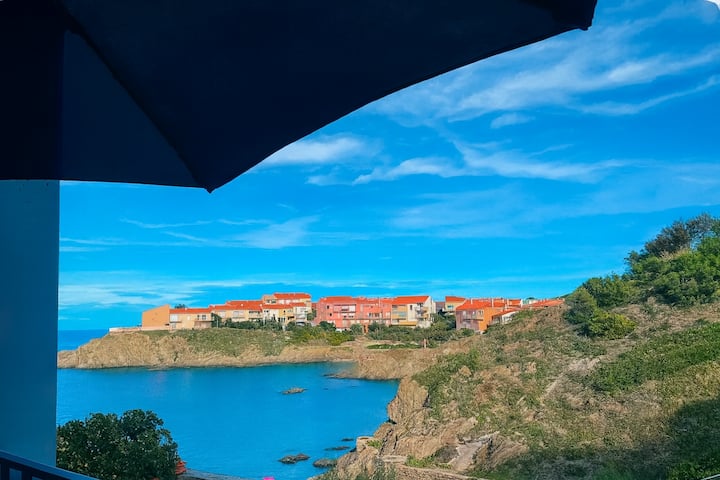 T1 - Res. Standing/mer/criques/piscine/ Park/clim - Collioure