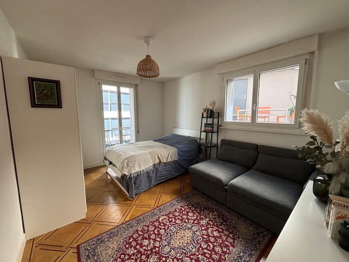 Cosy Studio In Central Geneva - Geneva