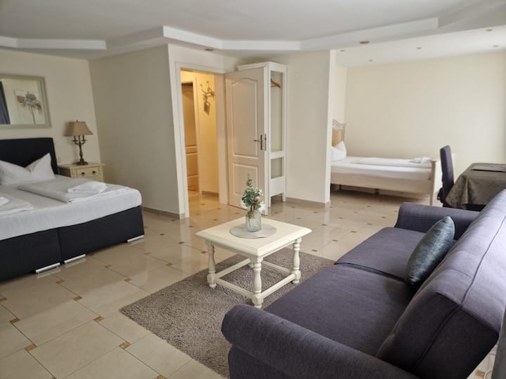 Central Hotel A2 - Mannheim