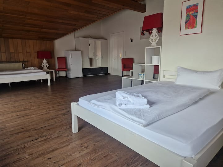 Central-hotel A10 - Mannheim