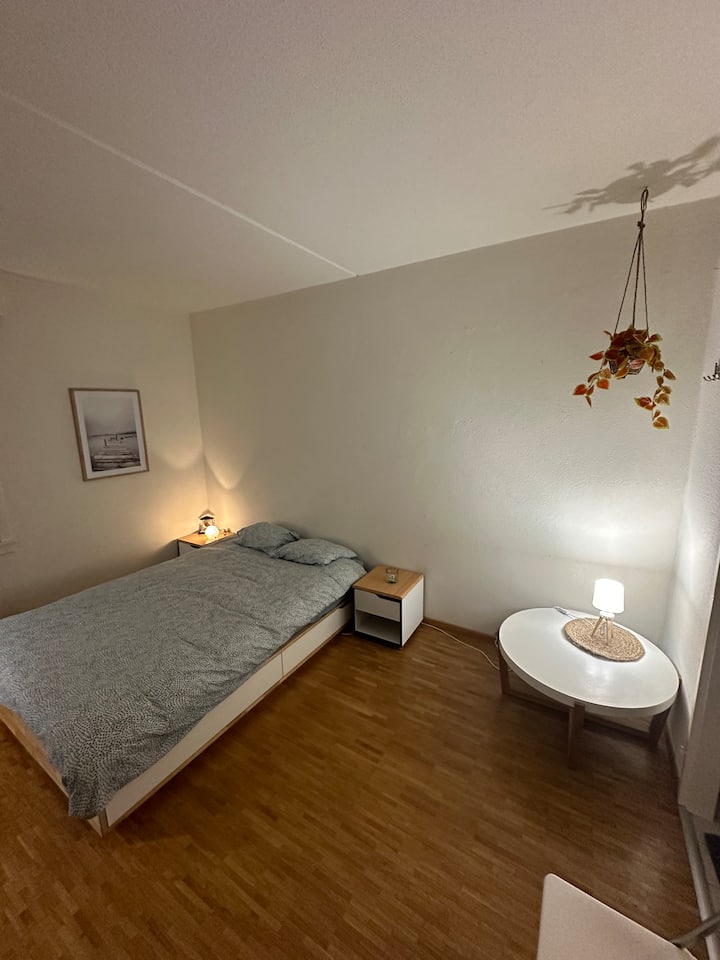 Agradable Apartamento - Lausanne