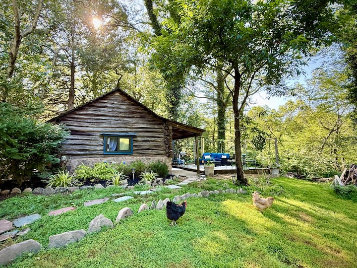 Cabin - Long Island, NY