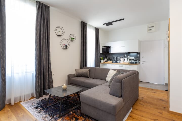 Vila Slovenka | Unit Maribor | Deluxe One Br Apt - Celje