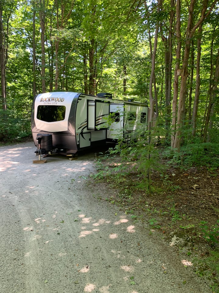 Bruce Trail Beauty - Caledon