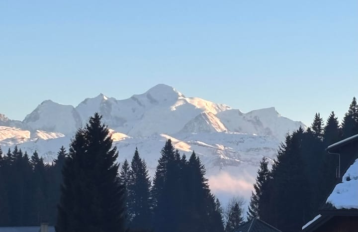 Vue Mont-blanc | 3 Ch | Centre | Nature & Calme - Taninges