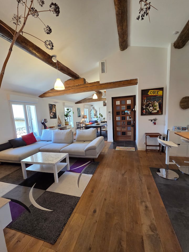 Arènes : Magnifique Appartement - Nîmes