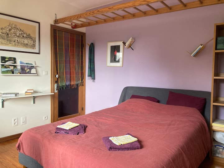 Chambre Proche Du Centre Avec Vue Sur Le Parc - Liège