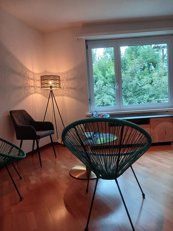 Spacious & Central Apartment Hottingen - Canton of Zürich