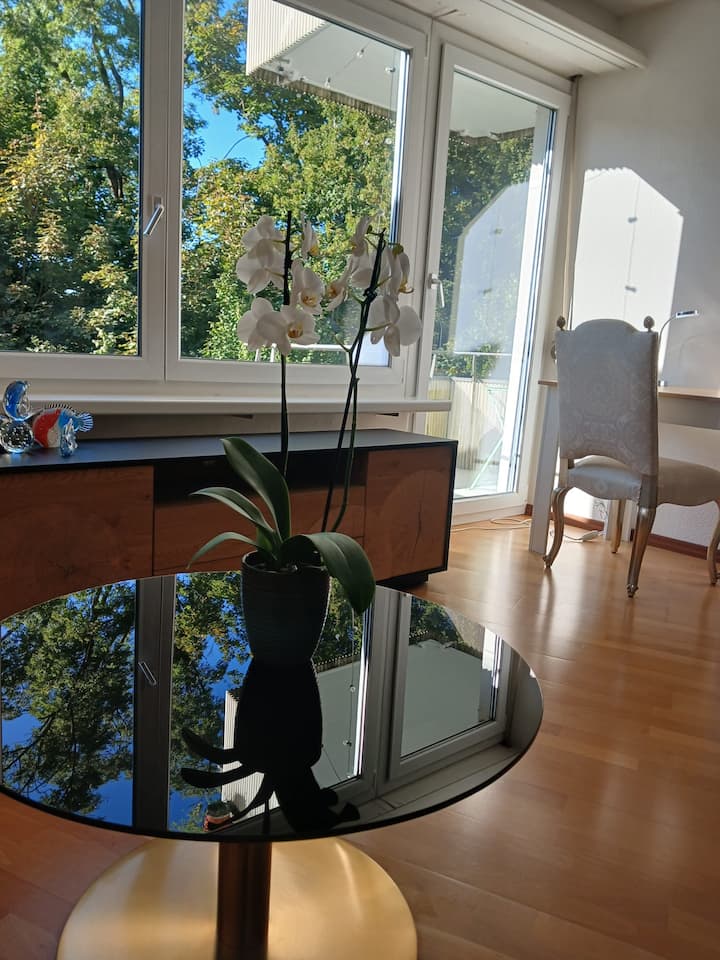 Spacious & Central Apartment Hottingen - Zürich