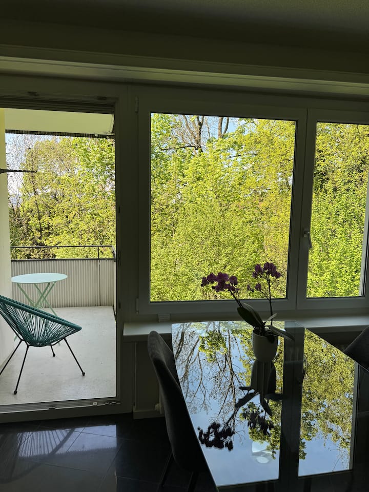 Spacious & Central Apartment In Hottingen - Kanton Zürich