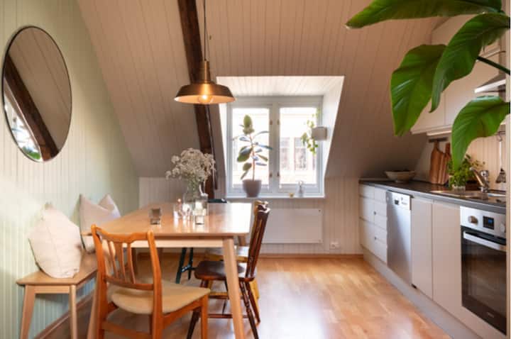 Koselig Og Unik Loftsleilighet - Sentrumsnær - Trondheim