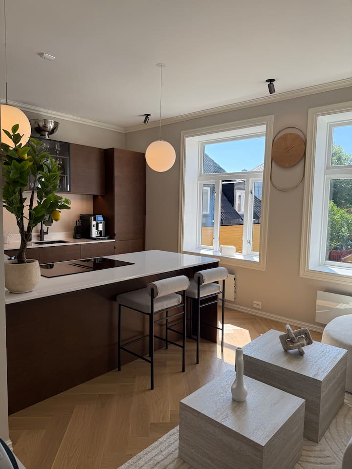 Moderne Leilighet, Høy Standard - Trondheim