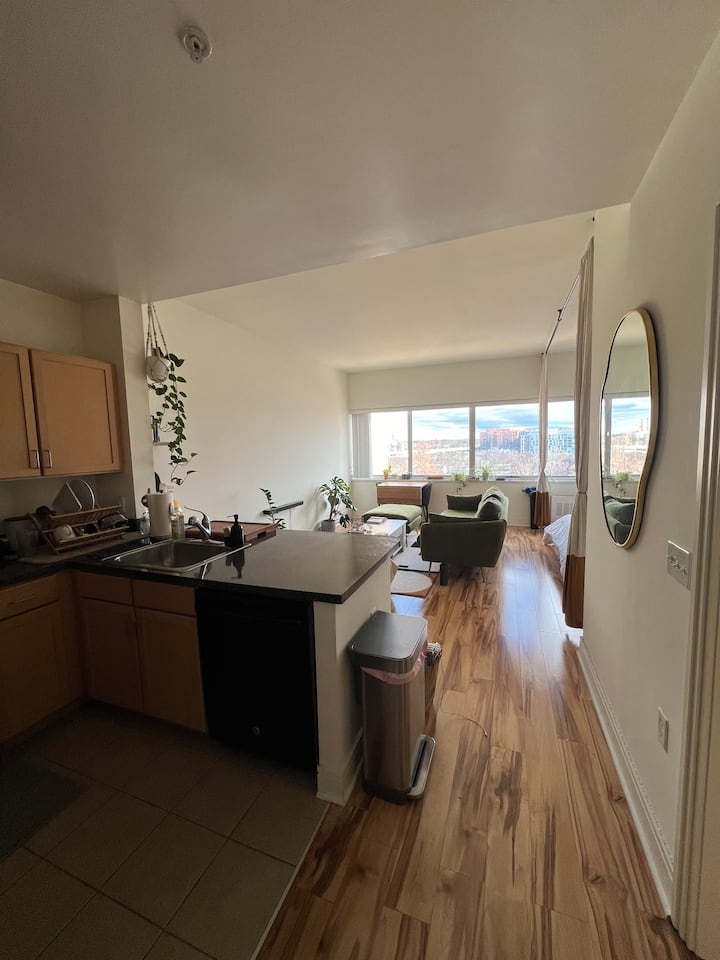 Luxury Dc Wharf Condo - Washington, D.C., DC