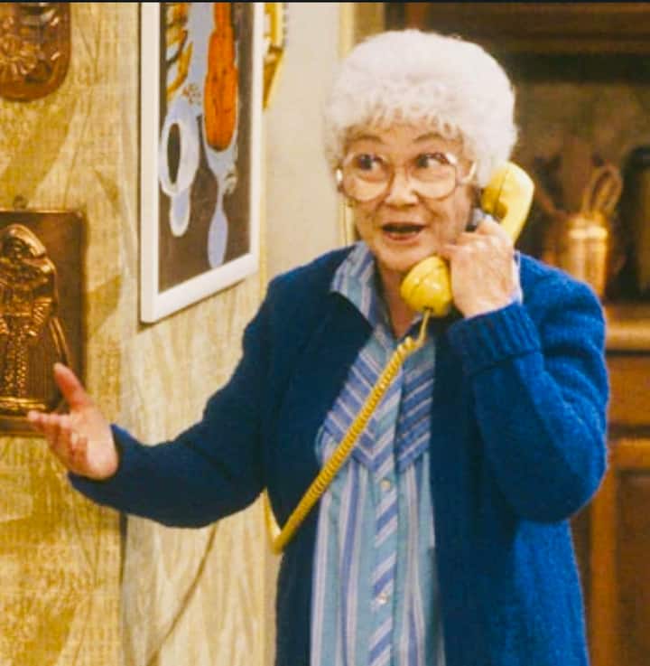 Golden Girls Inspired Getaway Close To Chicago! - Evanston, IL