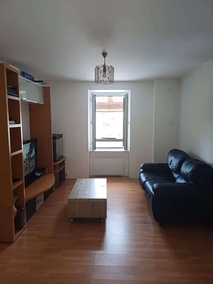 Appartement Au 1er éTage - Saint-Julien-en-Genevois