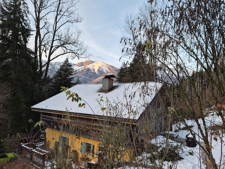 Chalet Isolé Nature Vue Montagne Forêt Spa - Thônes