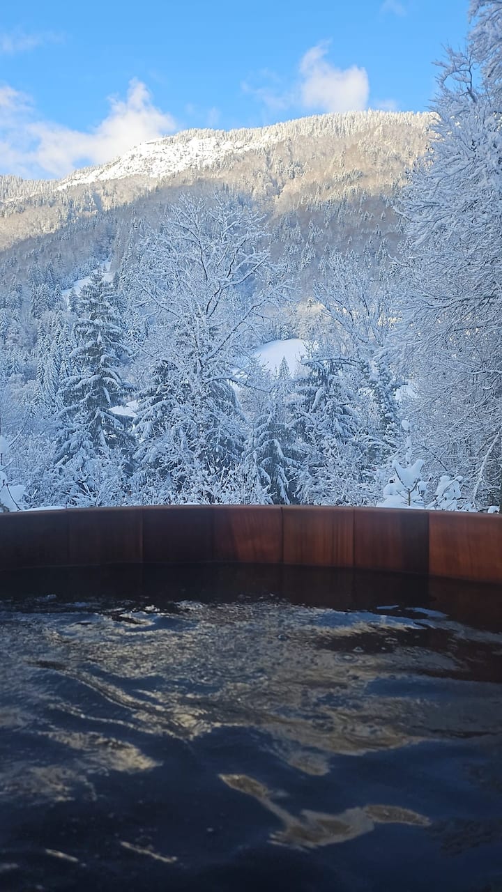 Chalet Nature Vue Montagne Foret - Thônes