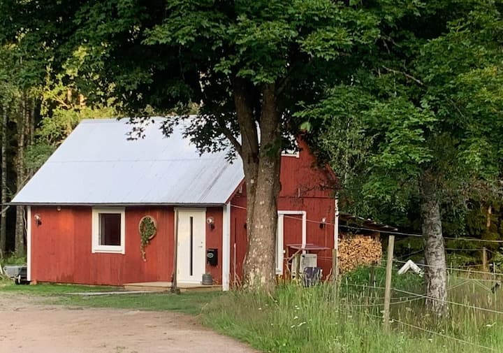 Ferienhaus Auf Einem Pferdehof - Vetlanda