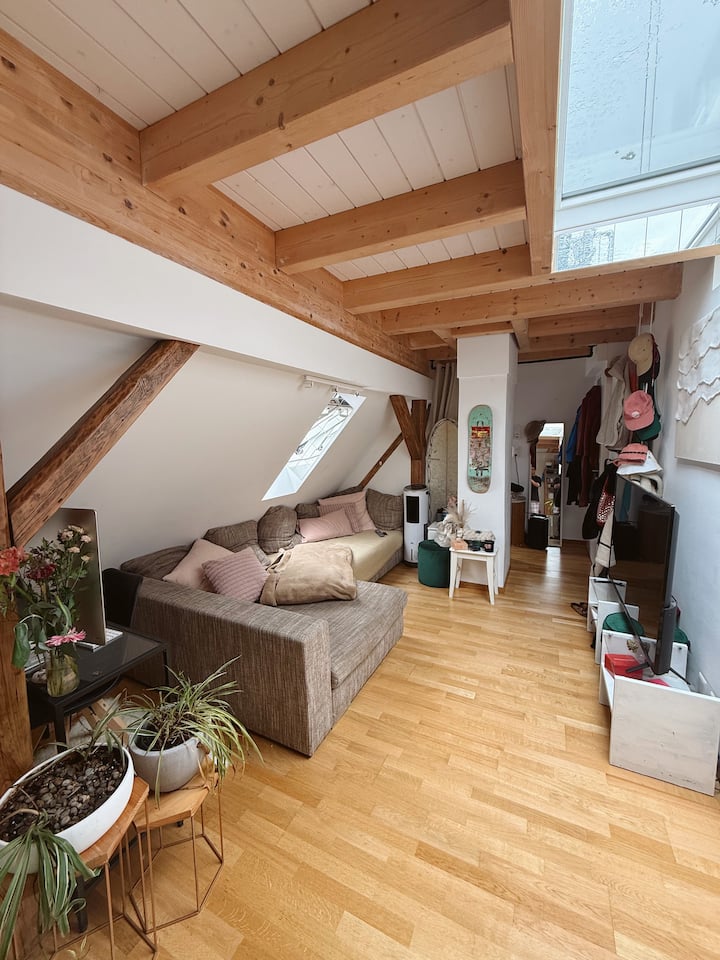 Cozy Rooftop Studio In Zürich - Zurych