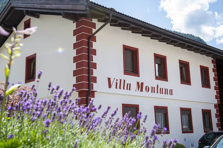 1007a Apartments Villa Montana - Val Gardena