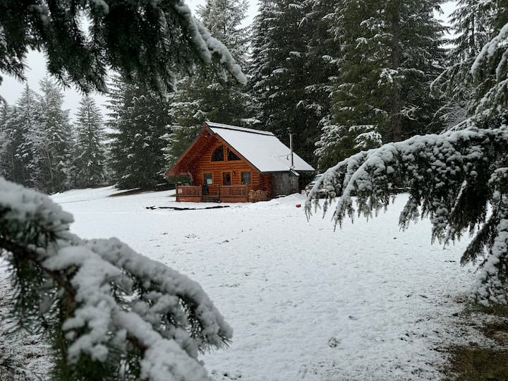 Burke Cabin | Mt. Hood View | Private Acreage - Government Camp, OR