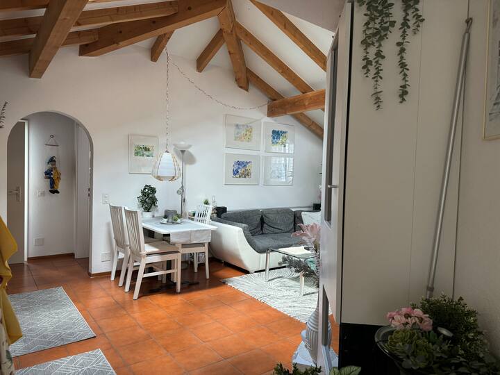 Appartamento Speciale Ad Ascona - Ascona