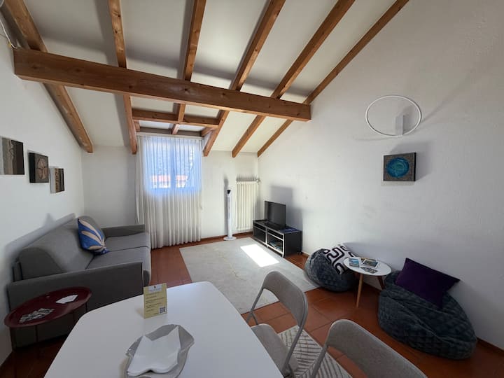 Appartamento Speciale Ad Ascona - Ascona