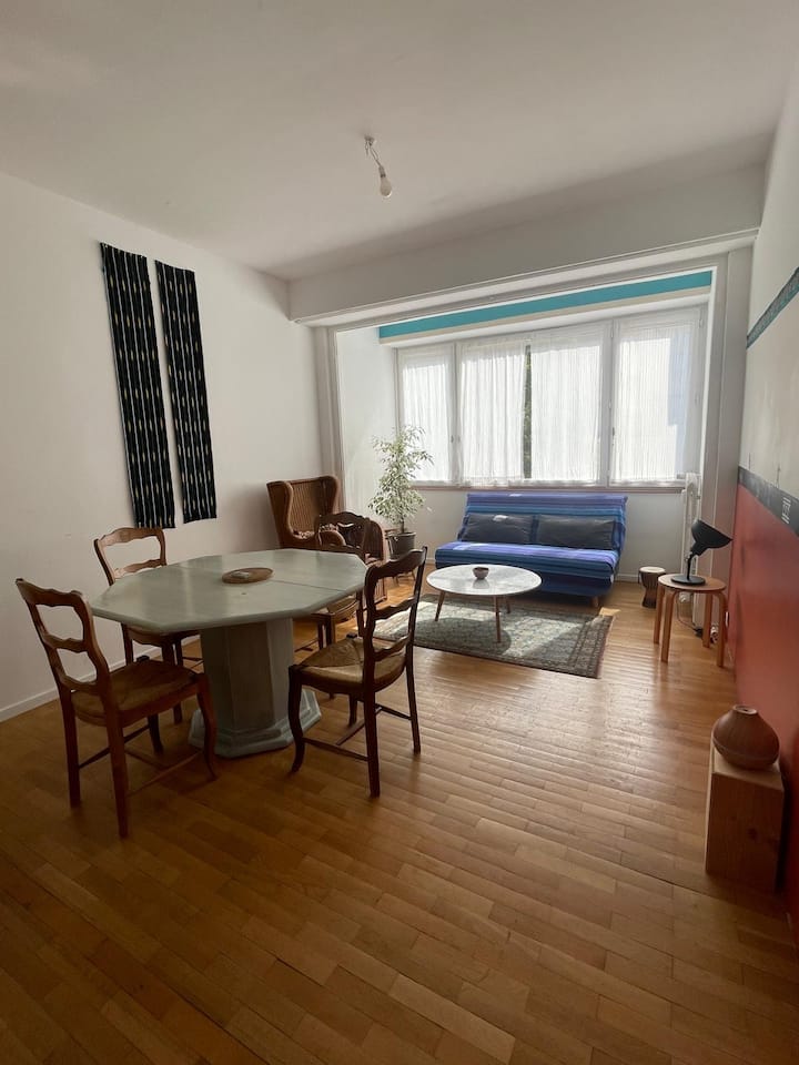Appartement Familial Strasbourg - Straatsburg
