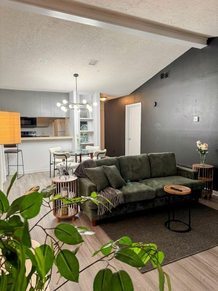 Near Texas A&m, Modern & Beautiful Home - 브라이언