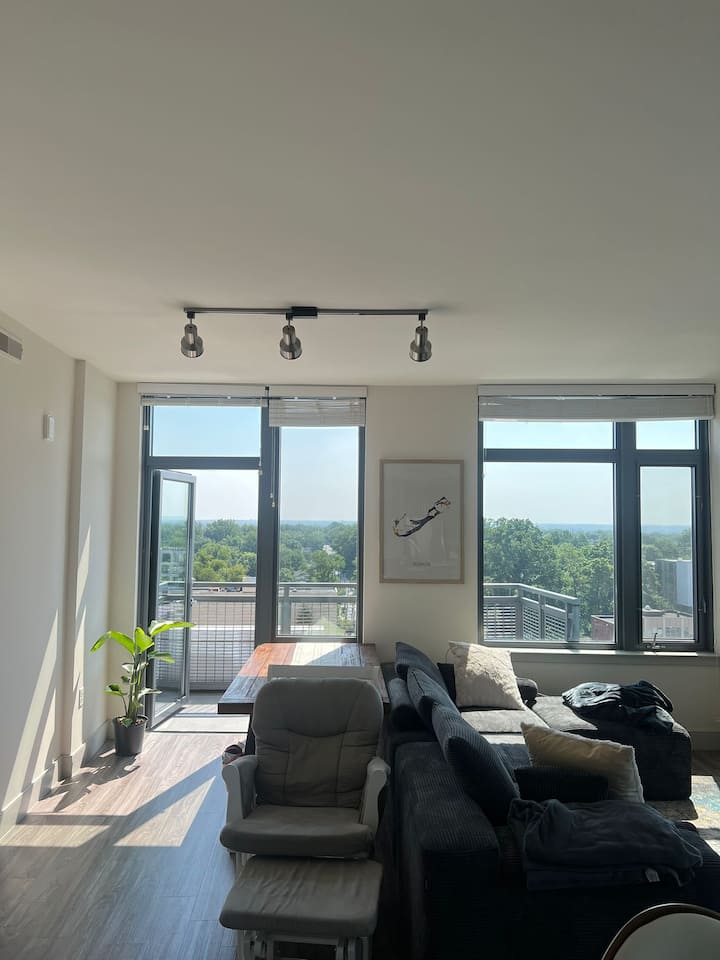 Modern Apt In Dt Silver Spring - Silver Spring, MD