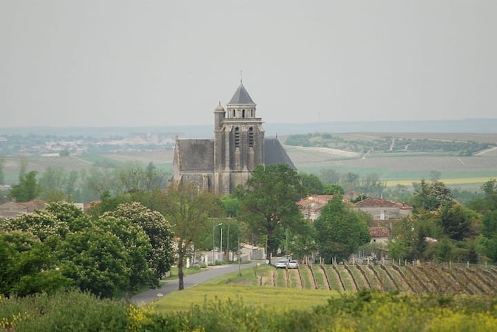 Typical Country House In Charente - Cognac