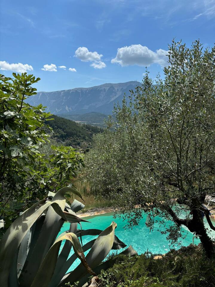 Mas Proti - Maison En Provence Avec Piscine - Mont Ventoux