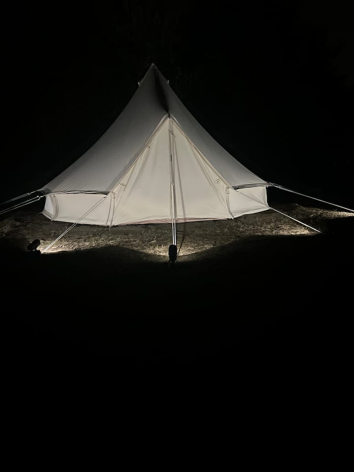 Stable View Camping - Fordingbridge