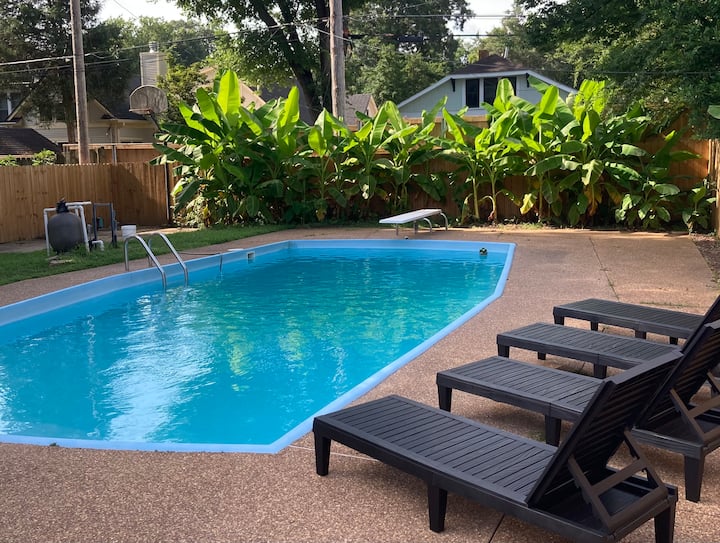 The Tiger Den - Memphis, TN