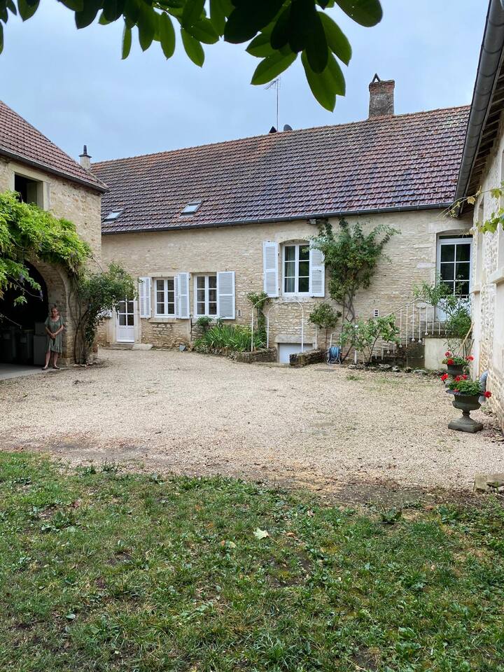 Clos André Ropiteau - Beaune