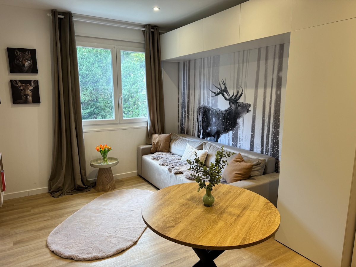 Charmant studio 4 personnes - Airbnb