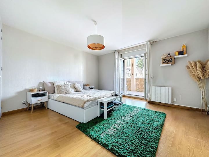 Appartement T3 Lumineux - Hyper-centre - Thonon-les-Bains