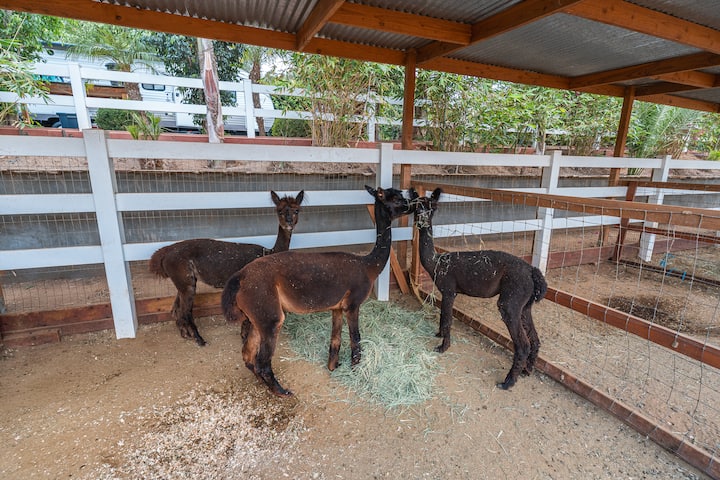 The Nest Farm, Petting Zoo, Near Best Wineries - California