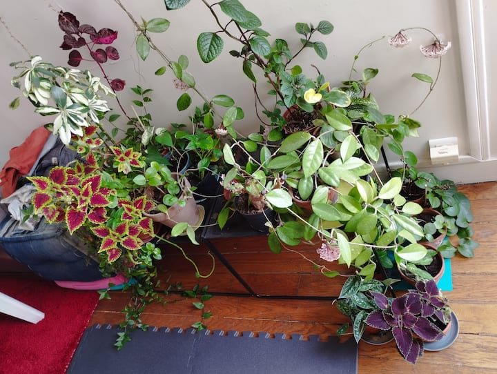 Entire Appartment At The Gate Of Paris - Porte de Paris, Saint-Denis