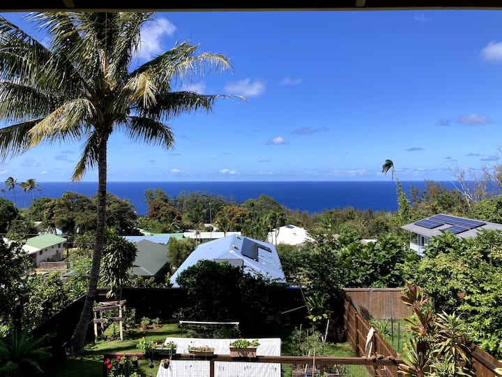 Sunny Quiet 1-bdrm W/ Ocean View - Kalopa State Recreation Area, Honokaa