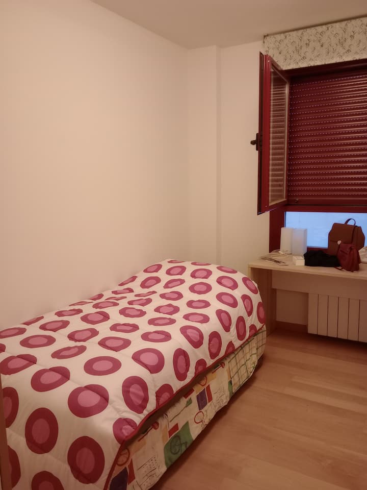 Vive Zaragoza - Saragosse