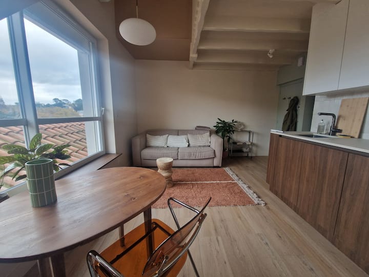 Duplex Lumineux Biarritz Plage - Biarritz