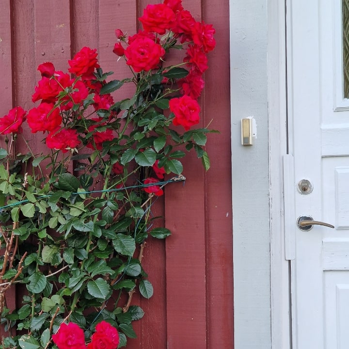 En Stor 3a För Hela Familjen - Lilla Edet