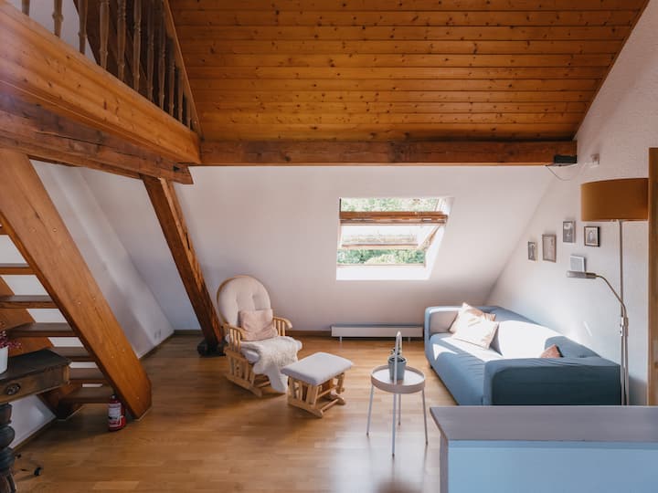 Central & Quiet Oasis In Zurich (Top Floor) - Zürich