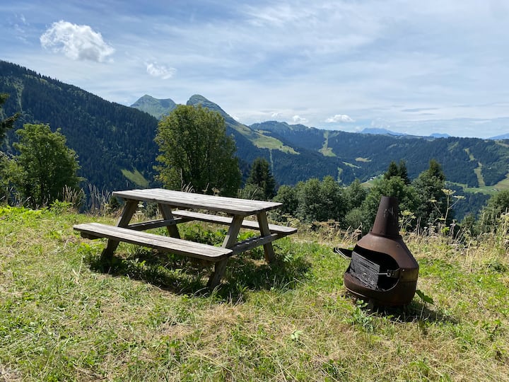 Mazot Authentique – Vue Montagne, Nature & éVasion - Morzine