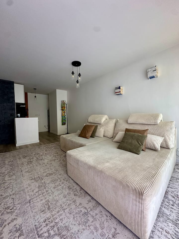 Charmant Duplex à 5 Min D’annecy - Epagny