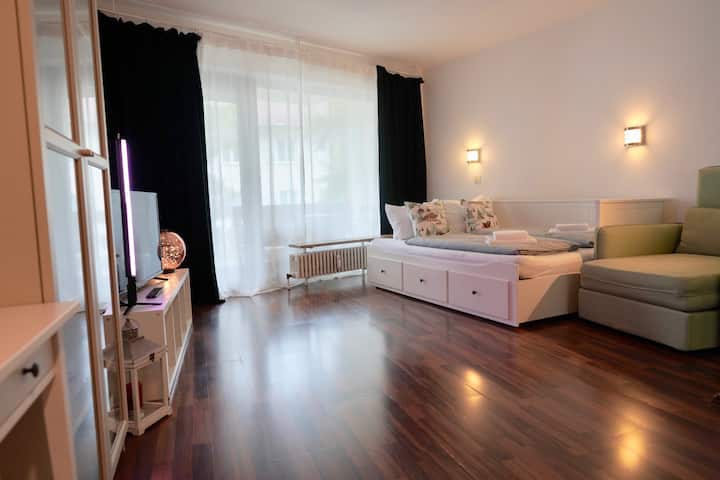 Energetic Mountain Apartment - Garmisch-Partenkirchen